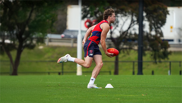 TRAINING: Friday 14th November 2025 - Training Reports - Demonland